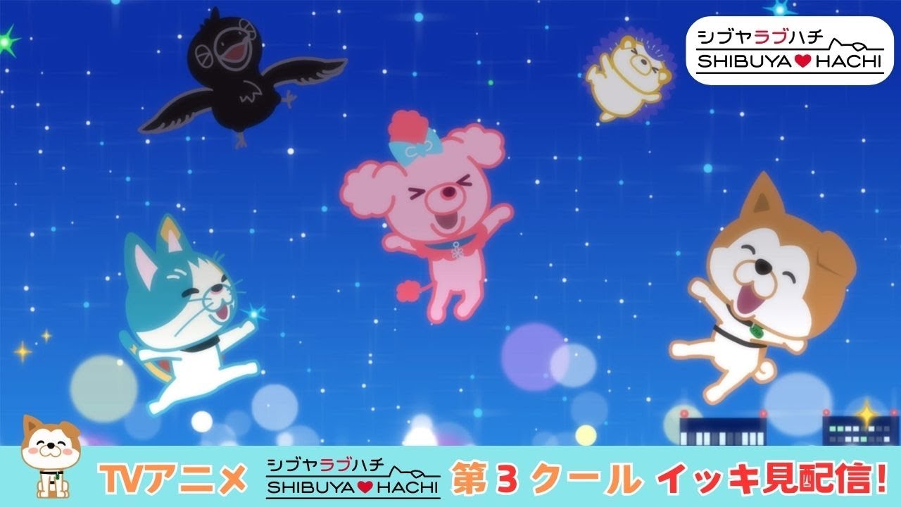 アニメ『SHIBUYA♡HACHI』第26～38話イッキ見配信【公式】 - MOEPP